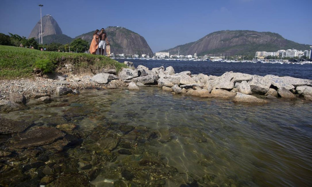 Águas da Praia de Botafogo aparecem cristalinas; veja fotos - Jornal O ...