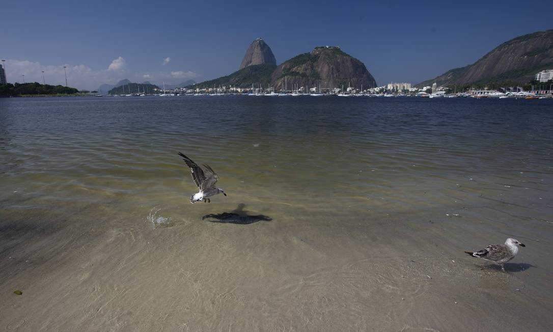 Águas da Praia de Botafogo aparecem cristalinas; veja fotos - Jornal O ...