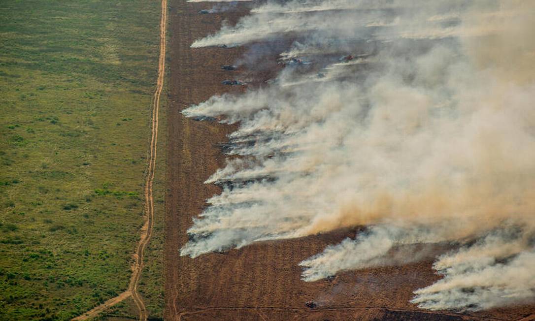 Desmatamento recorde na Amazônia: 2021 teve pior abril da série ...