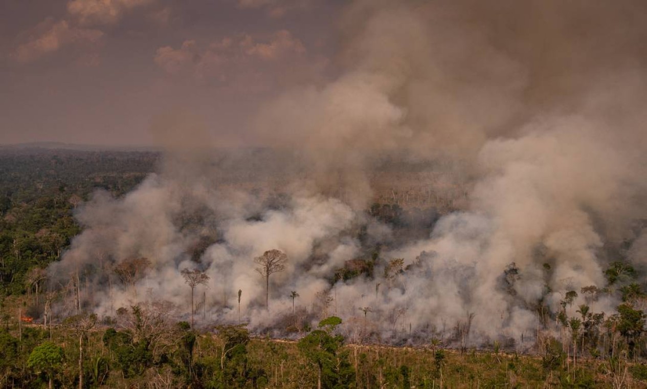 Um mês após proibição de queimadas na Amazônia, Greenpeace flagra mais ...