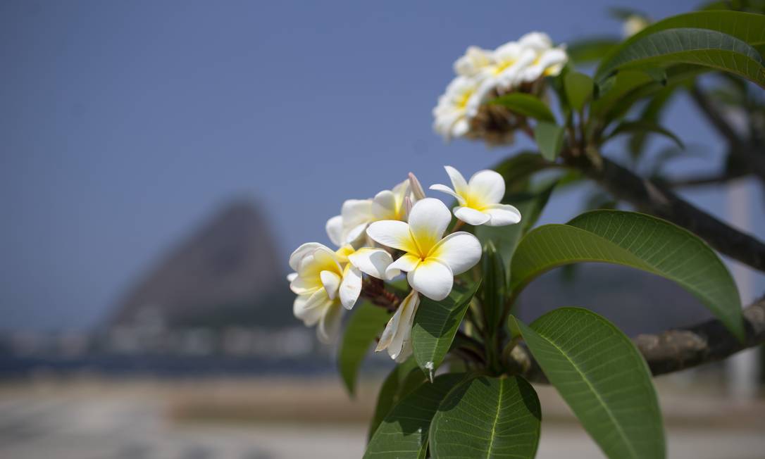 O que é o Equinócio de Primavera - Época