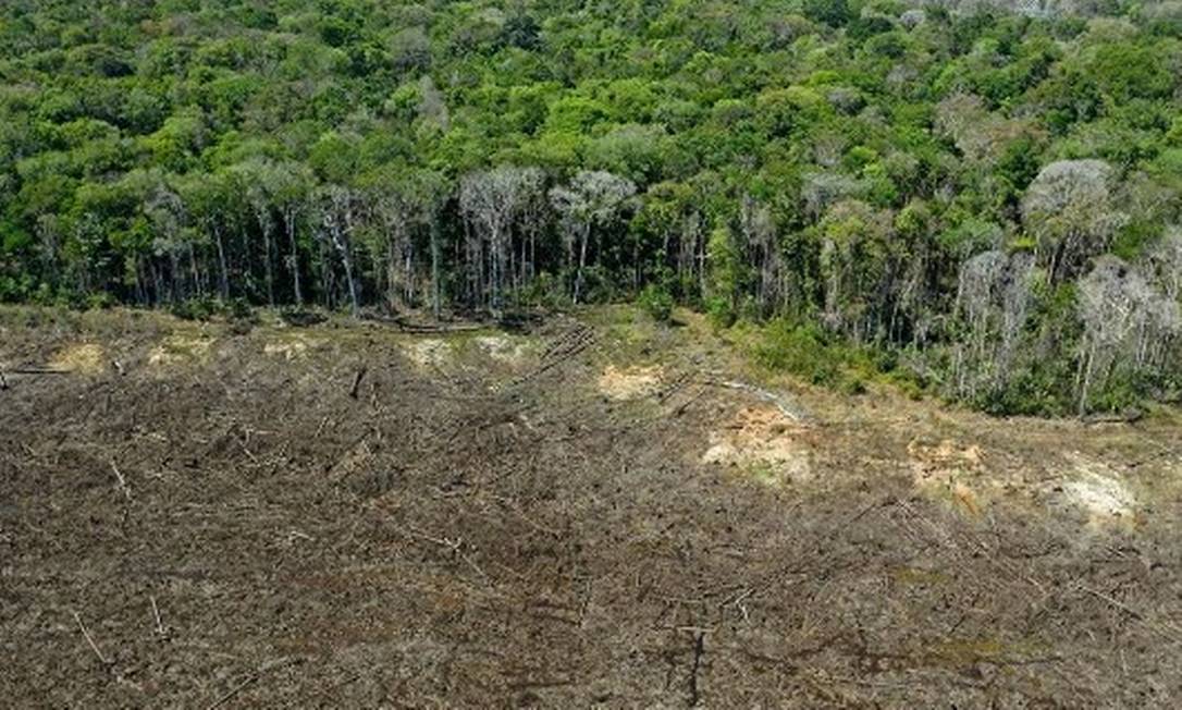 Desmatamento da Amazônia avança 9,5% em um ano e chega a 11 mil km² ...
