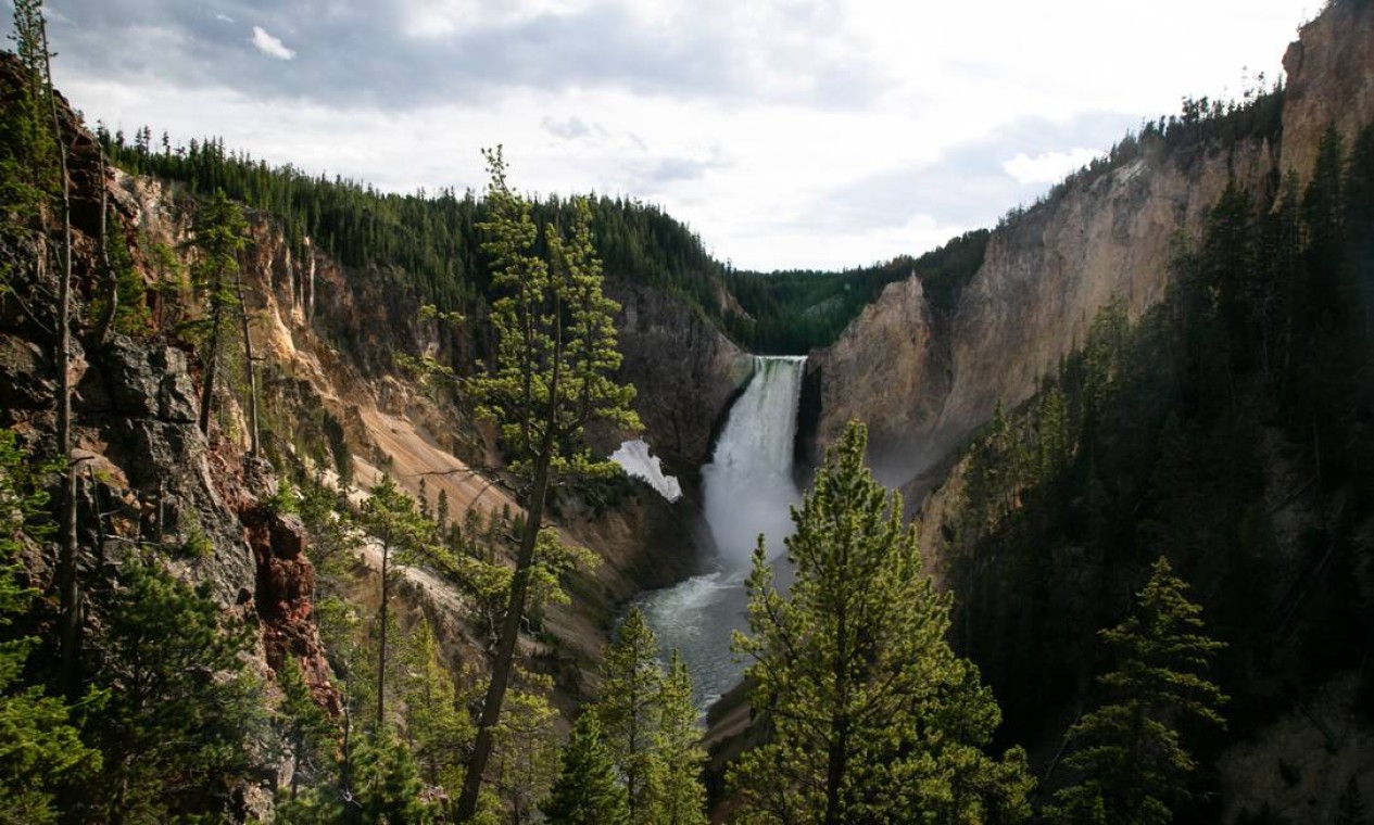 Coluna | New Deal Verde na prática: o que Roosevelt tem a nos ensinar ...