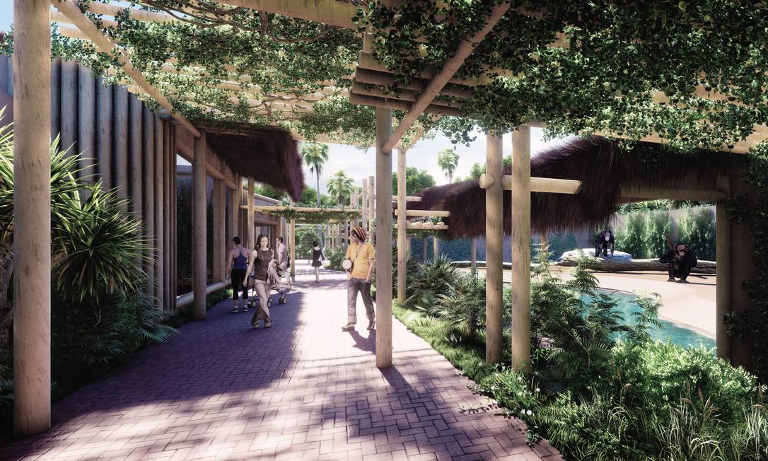 Novo zoo do Rio: mais 35% de vegetação e passeio de barco entre animais ...