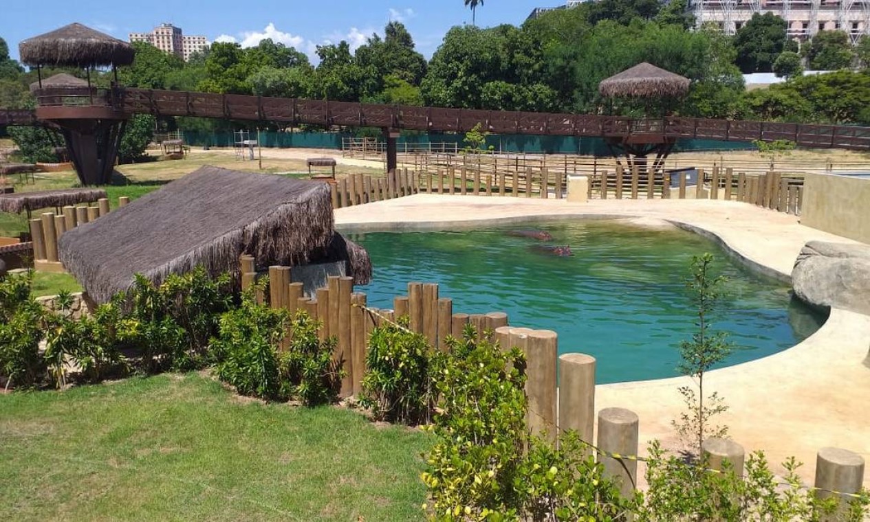 Novo zoo do Rio: mais 35% de vegetação e passeio de barco entre animais ...