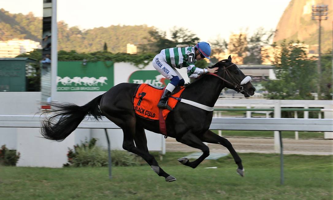 Única joqueta do Rio, Victoria Mota fala sobre o preconceito e os ...
