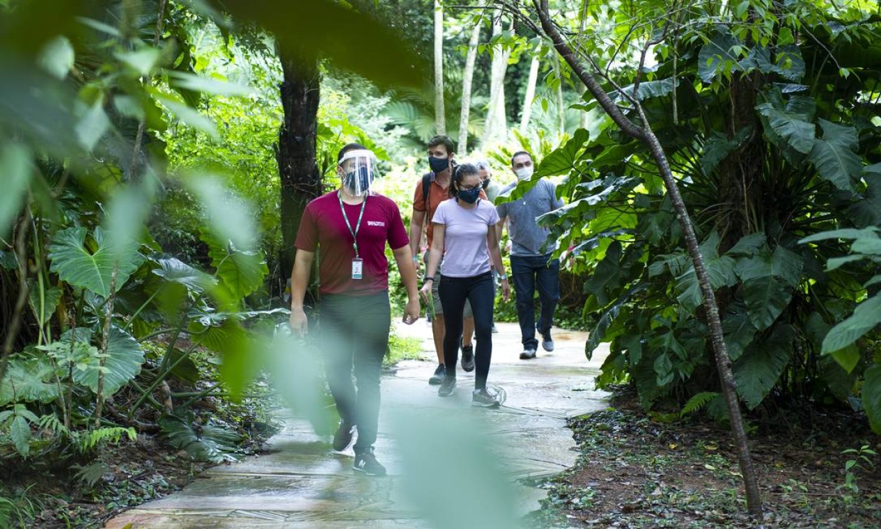 De tours guiados a galerias digitais, saiba como fazer visitas virtuais ...