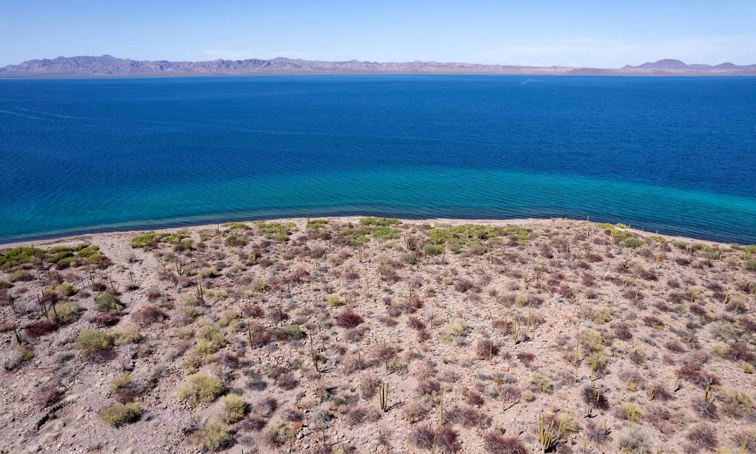 Conheça o Golfo da Califórnia, no México, que é patrimônio da Unesco ...