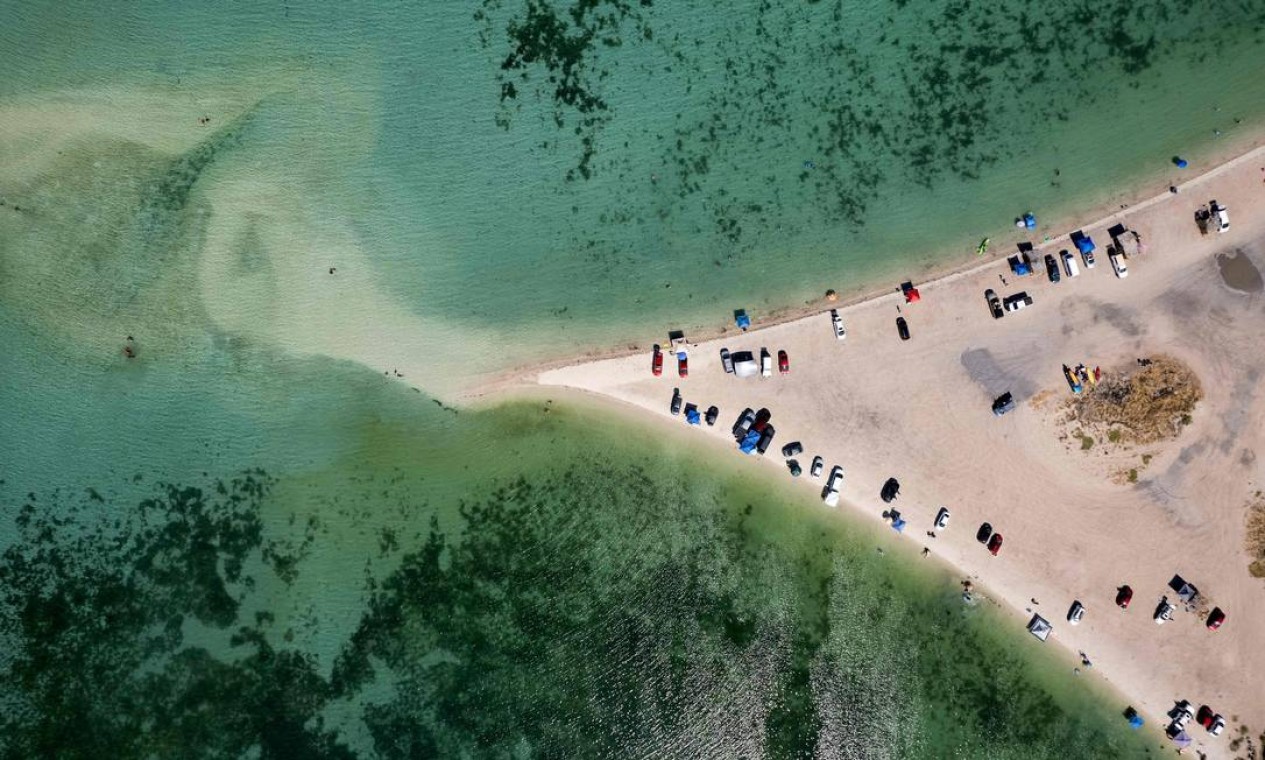 Veja imagens do Golfo da Califórnia, que entrou na lista de Patrimônios ...