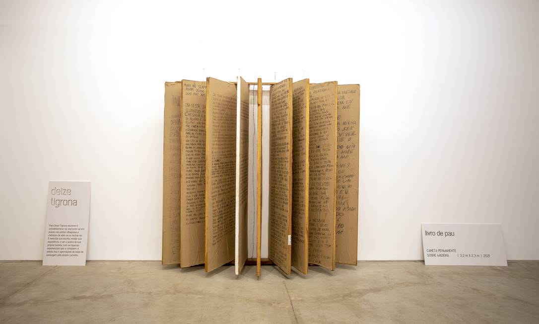Deize Tigrona estreia como artista plástica com obra de portas que se ...