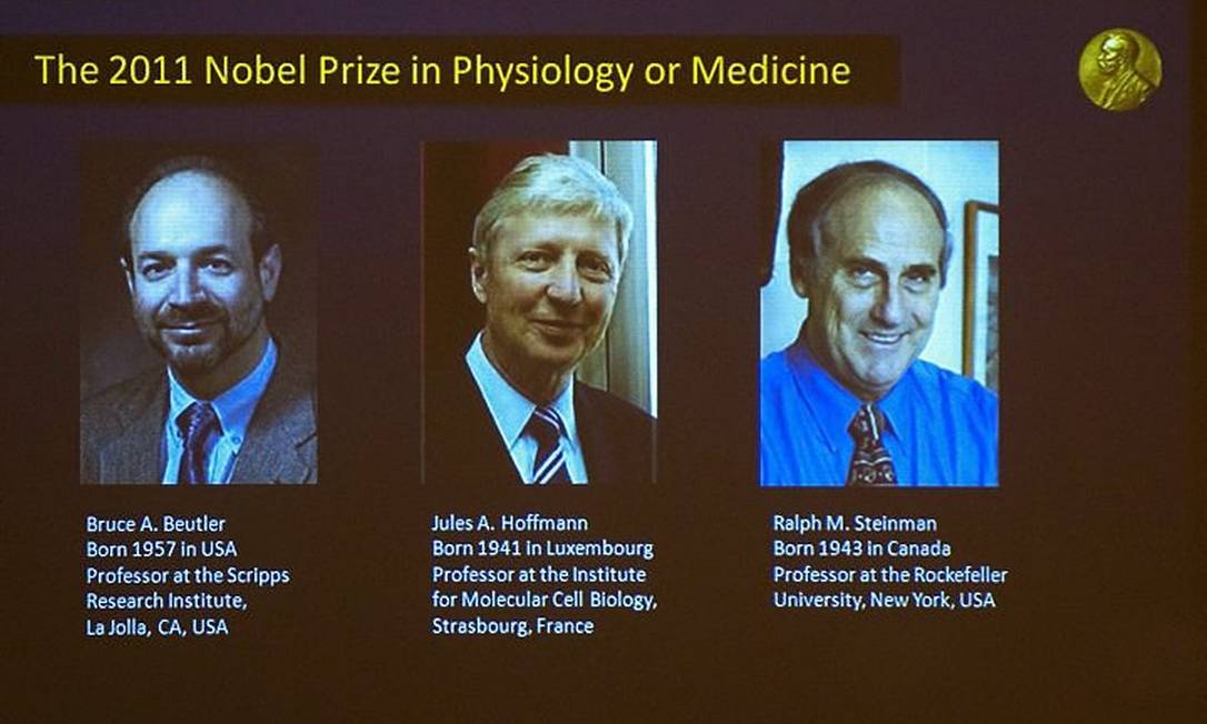 Três cientistas dividem Prêmio Nobel de Medicina de 2011 - Jornal O Globo