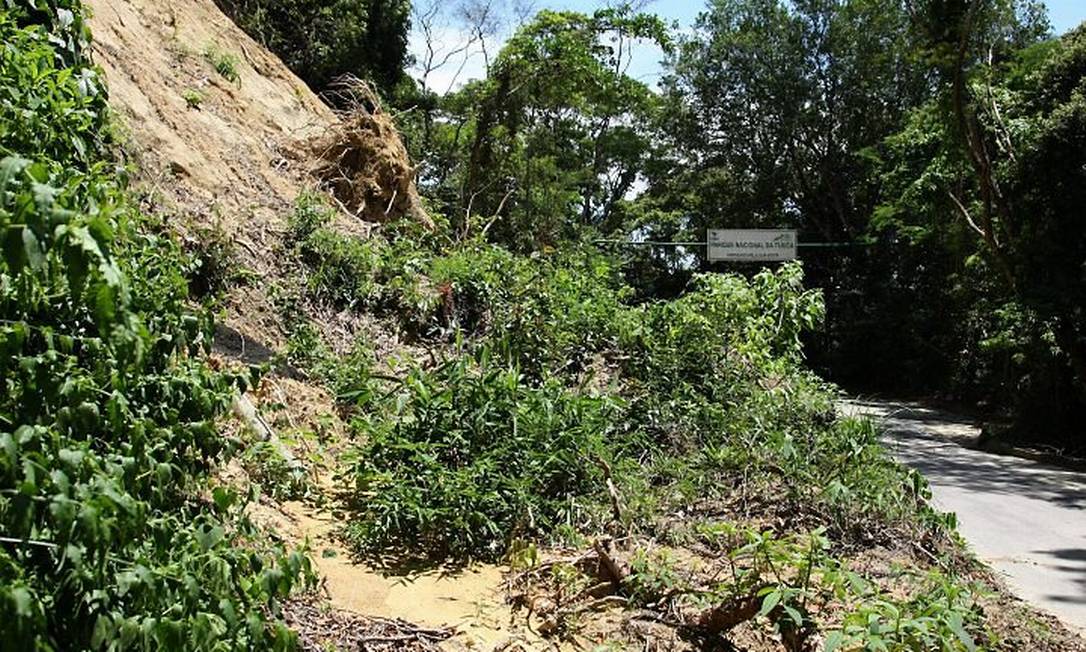 Temporal ainda é risco para o Parque Nacional da Tijuca - Jornal O Globo