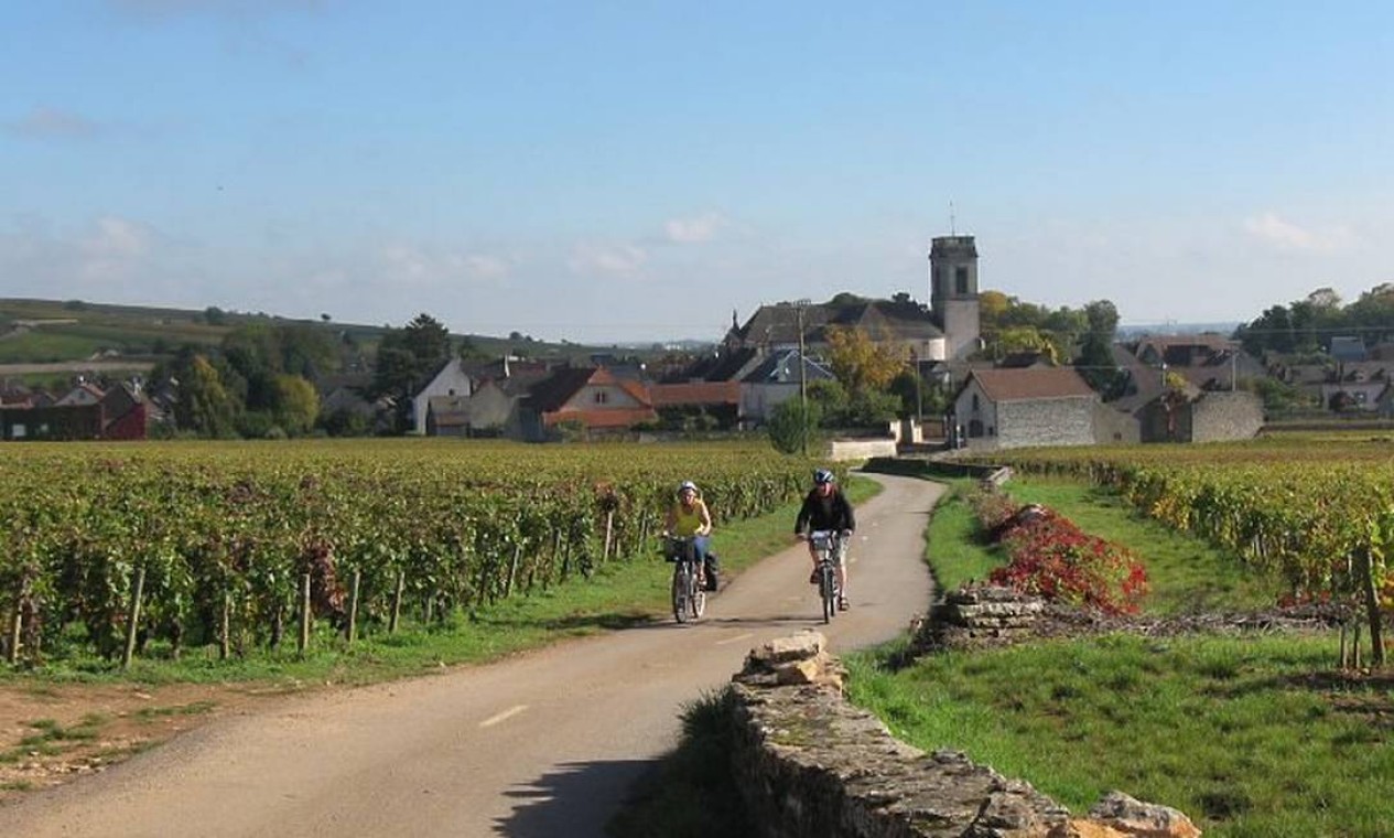No Coração da Borgonha, na França, um roteiro que passa por vinhedos e ...