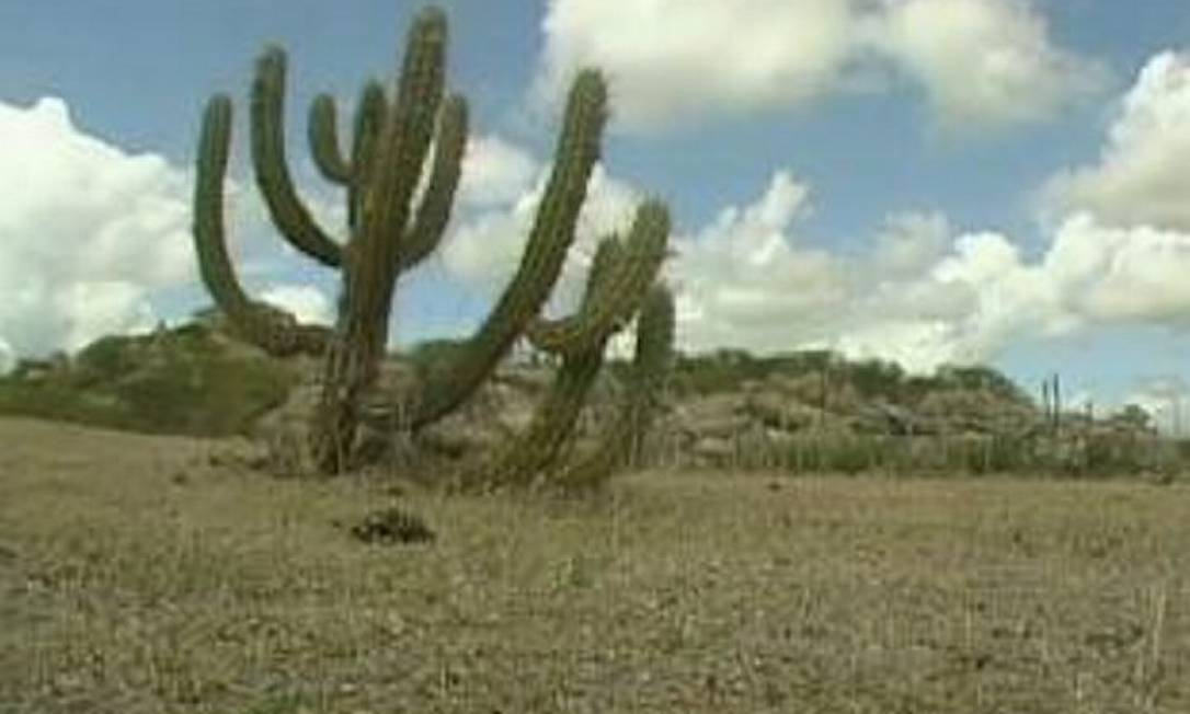 Semiárido nordestino deve ser uma das mais afetadas com mudanças ...