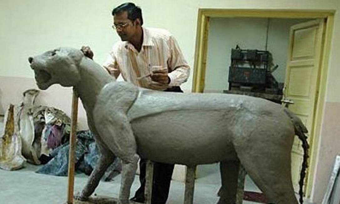 Zoo na Índia vai exibir animais empalhados - Jornal O Globo