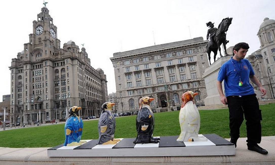 Esculturas de pinguins enfeitam ruas de Liverpool - Jornal O Globo