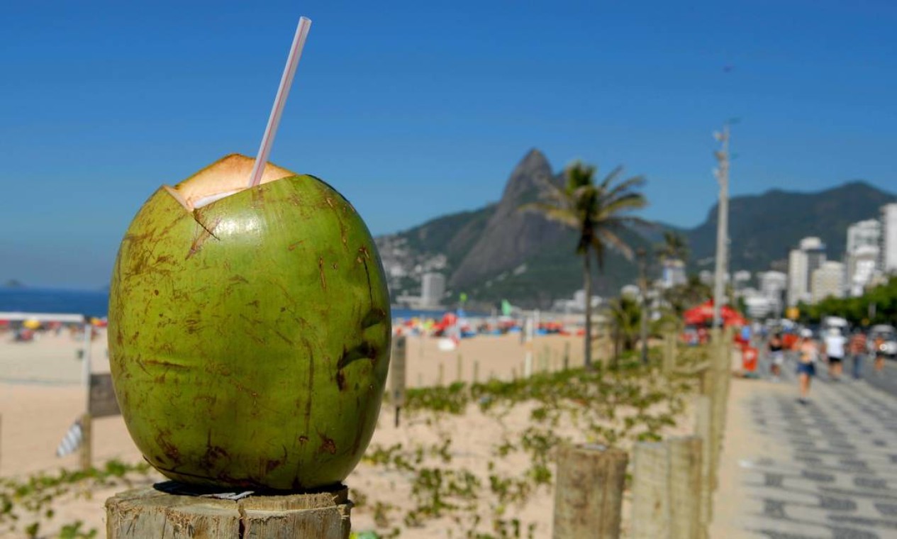O longo caminho que o coco-verde percorre até chegar ao Rio - Jornal O ...
