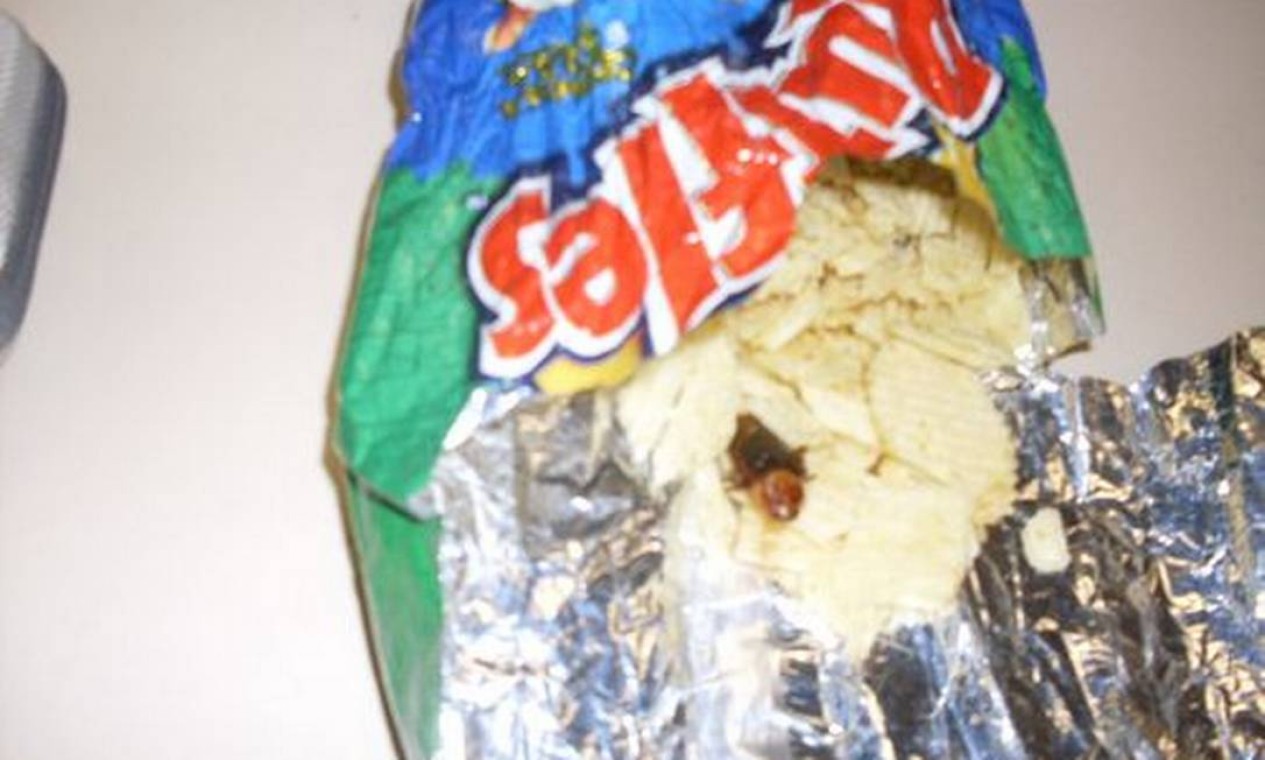 Veja o laudo sobre a presença de barata em pacote de batata frita ...