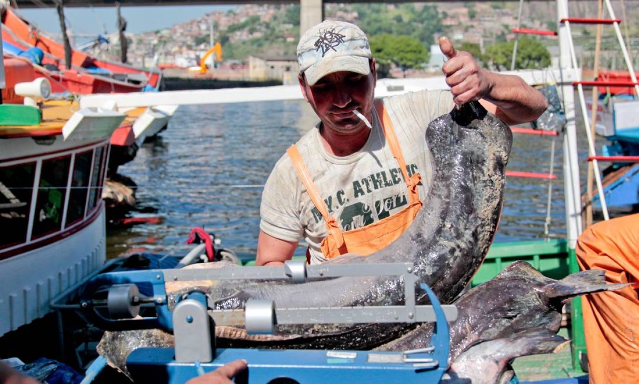 Pesca sofre com estrutura precária - Jornal O Globo