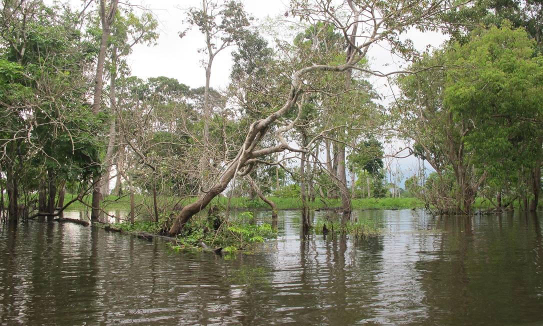 Cenas do Rio Solimões - Jornal O Globo