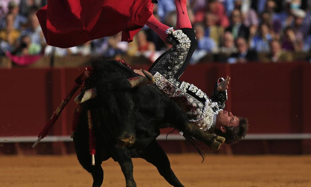 Dia do touro - Jornal O Globo