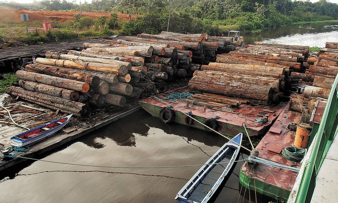 Madeira da Amazônia inunda mercado consumidor, mas legalidade da ...