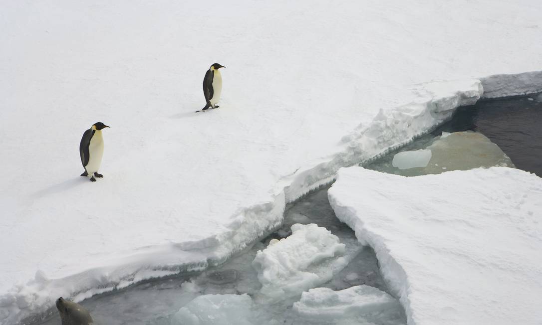 Maior parte do degelo na Antártica é ‘invisível’ - Jornal O Globo