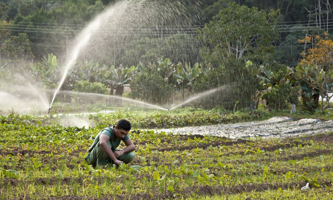 Consumo verde: especialista responde a dez perguntas para um dia a dia ...