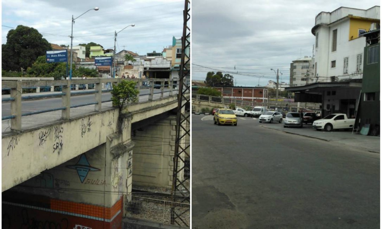 Arbusto cresce na lateral do Viaduto de Bento Ribeiro - Jornal O Globo
