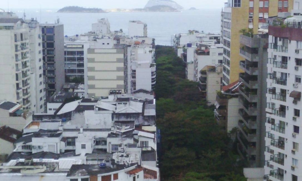 Leitores fotografam ruas arborizadas do Leblon - Jornal O Globo